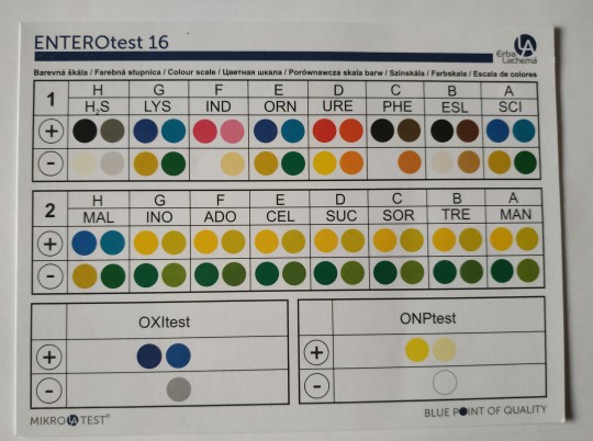 Mikrobiologie mléka a mléčných výrobků - cvičení