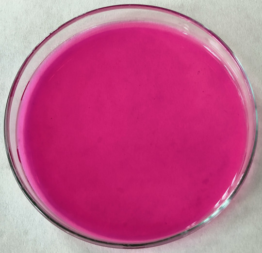 Laboratorní cvičení z mikrobiologie potravin II-b