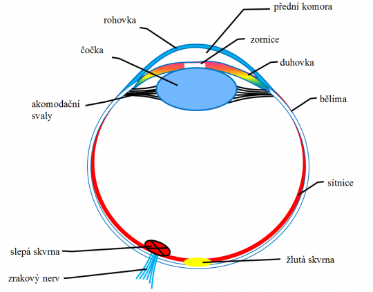Kvantová (nejen) optika pro začátečníky – úvod