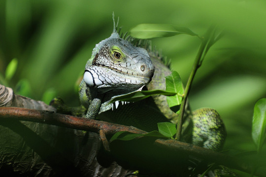Fotografická technika II