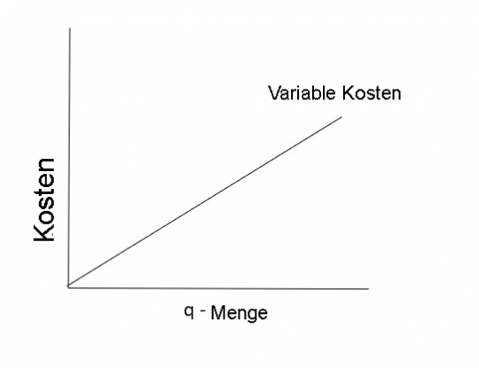 Wirtschafts- und Managementansätze in der Praxis