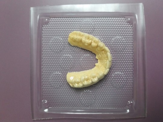 The Profession of Dental Hygienist