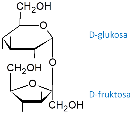 Biochemie pro obor DFA