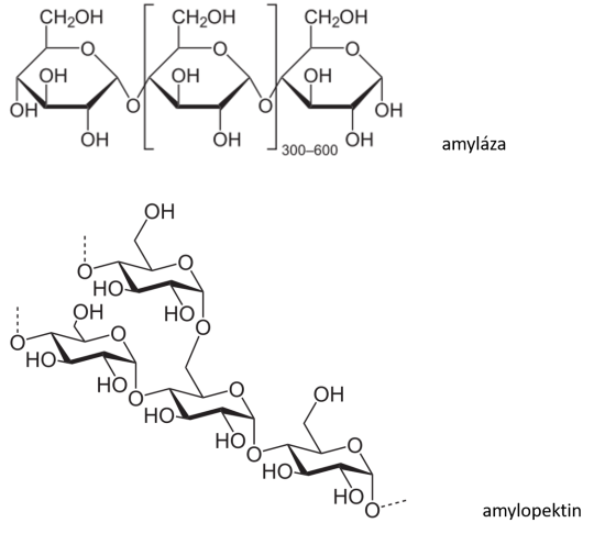 Biochemie pro obor DFA