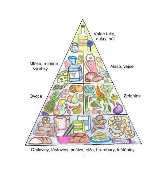 Alternativní výživa z pohledu nutričního terapeuta